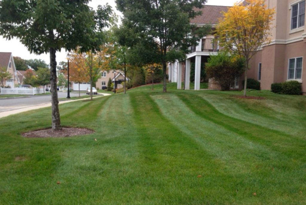 Boston Commercial Landscape Maintenance | Design & Install