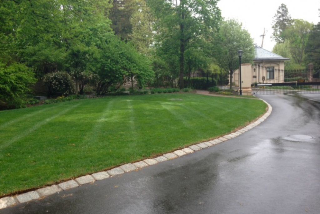 Boston Commercial Landscape Maintenance | Design & Install