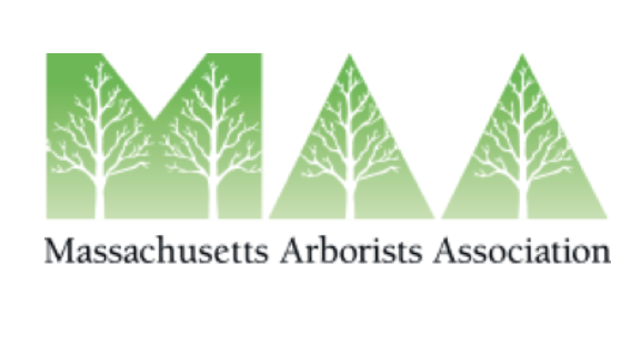 About Riverside Services | Leading Boston, MA Landscaping Company